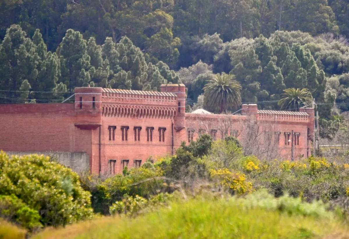 East Bay Regional Park District announces purchase of 82 acres at Point ...